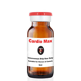 CARDIO MAX – ROYAL B. VET company - Powered by Bayanalysis